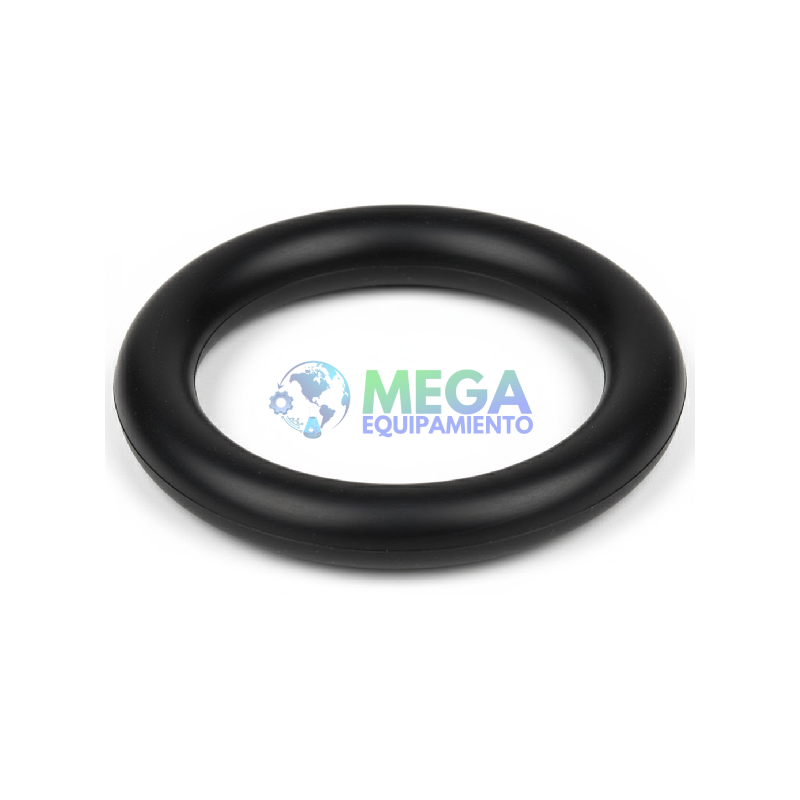 Anillo Toroidal para Electrodo de pH - HORIBA - horiba